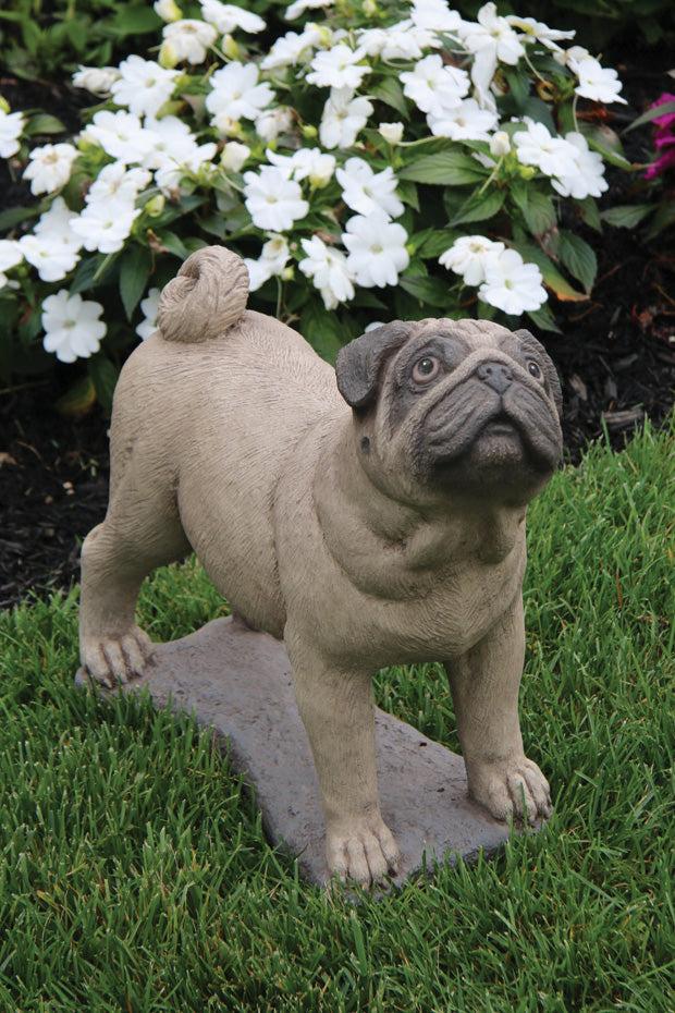 15" Pug – Massarelli Lawn Ornaments
