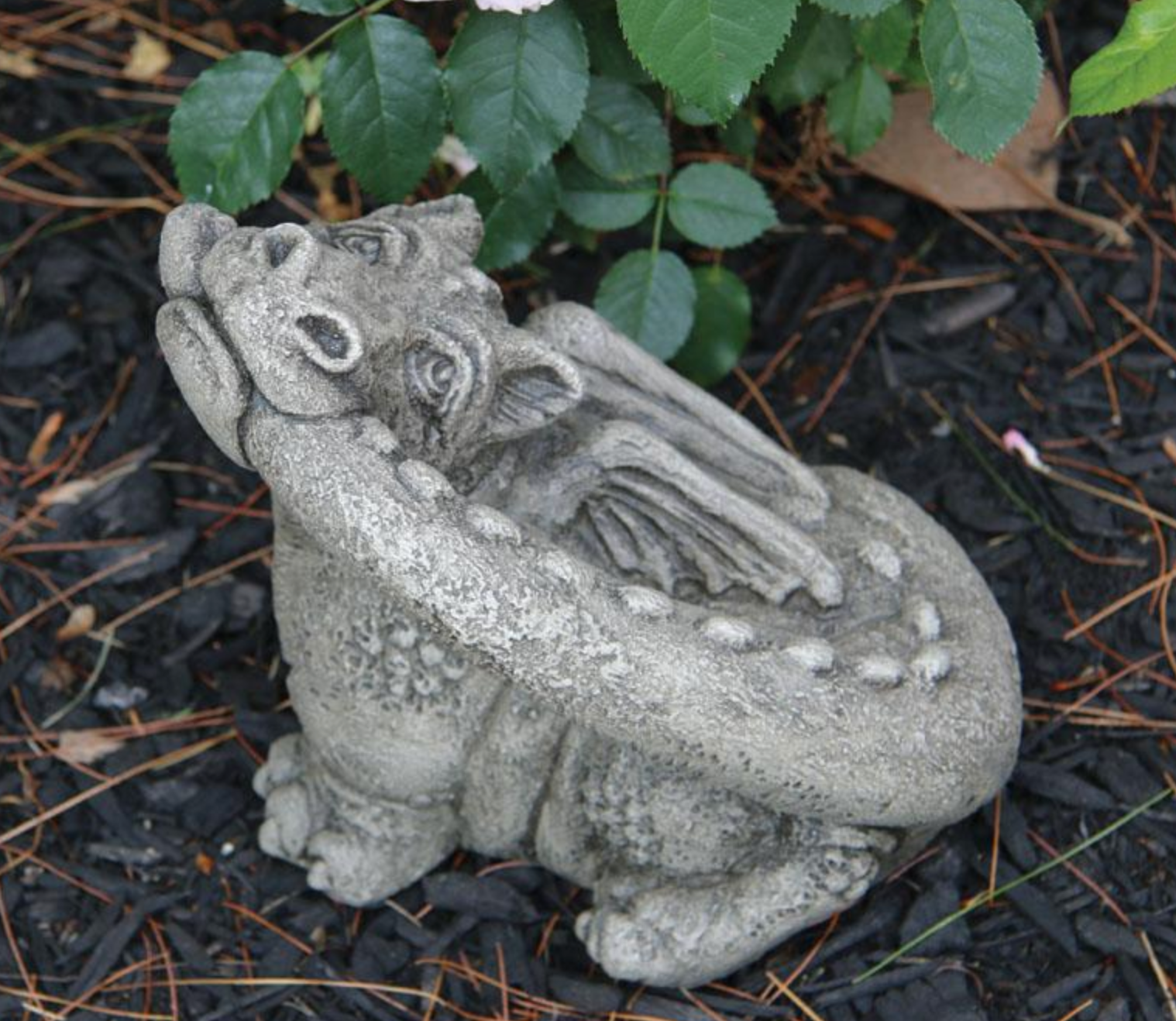 Lil Dragon - Treats – Massarelli Lawn Ornaments